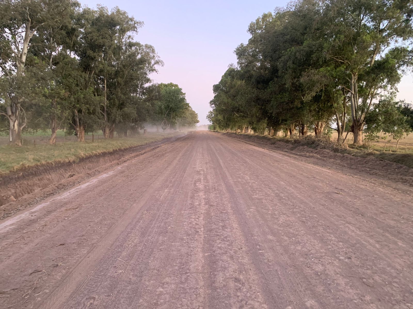CAMINOS RURALES - Navarro en Lineas